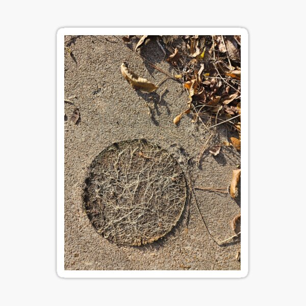 "Networking" Sticker for Sale by TiffanyMaeDsgn | Redbubble