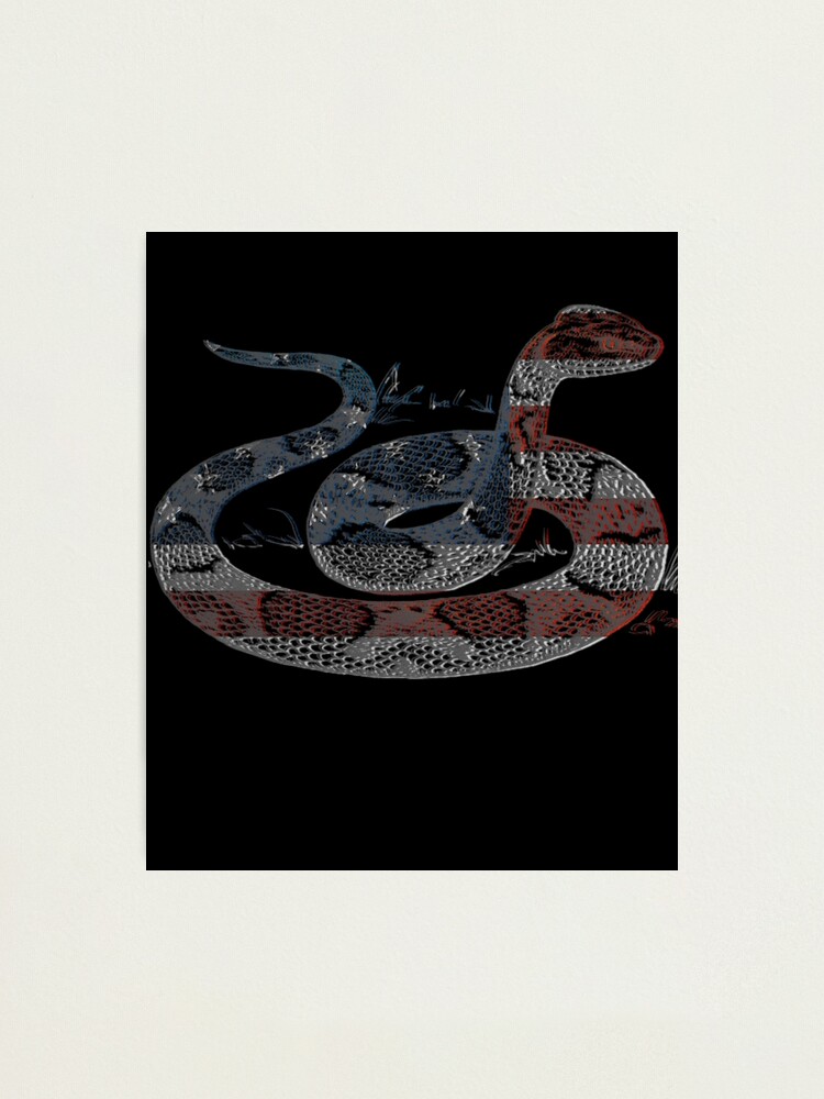 "4th of july snake american flag usa" Photographic Print for Sale by ...