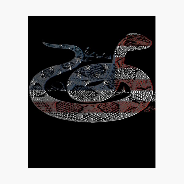 "4th of july snake american flag usa" Photographic Print for Sale by ...
