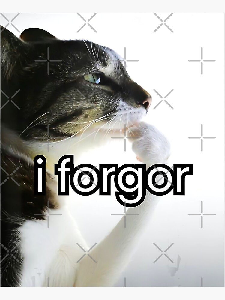 "Funny Silly Cat Meme I Forgor Cringe Brainrot Meme" Sticker for Sale ...