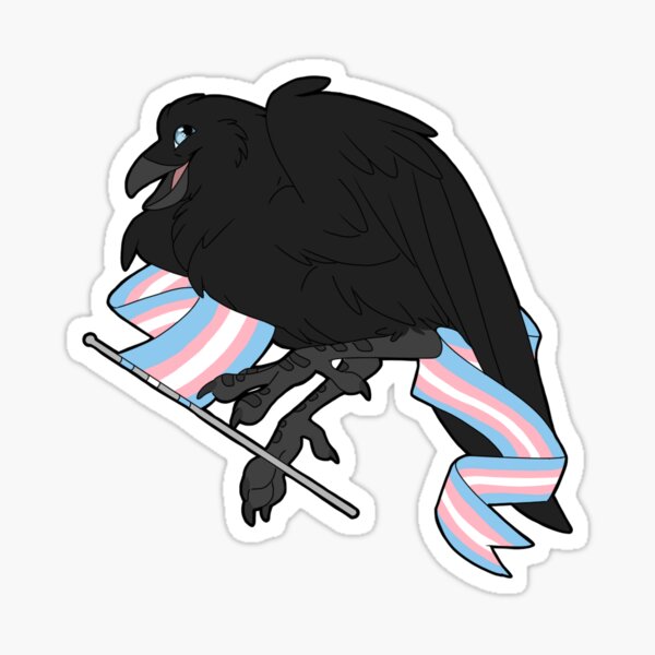 "Pride Crows - Trans" Sticker for Sale by ravenouterspace | Redbubble