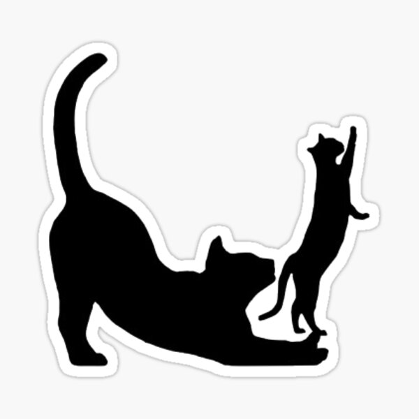 "cats fluffy house cat paws stray cat furry tabby felis tomcat hairball ...