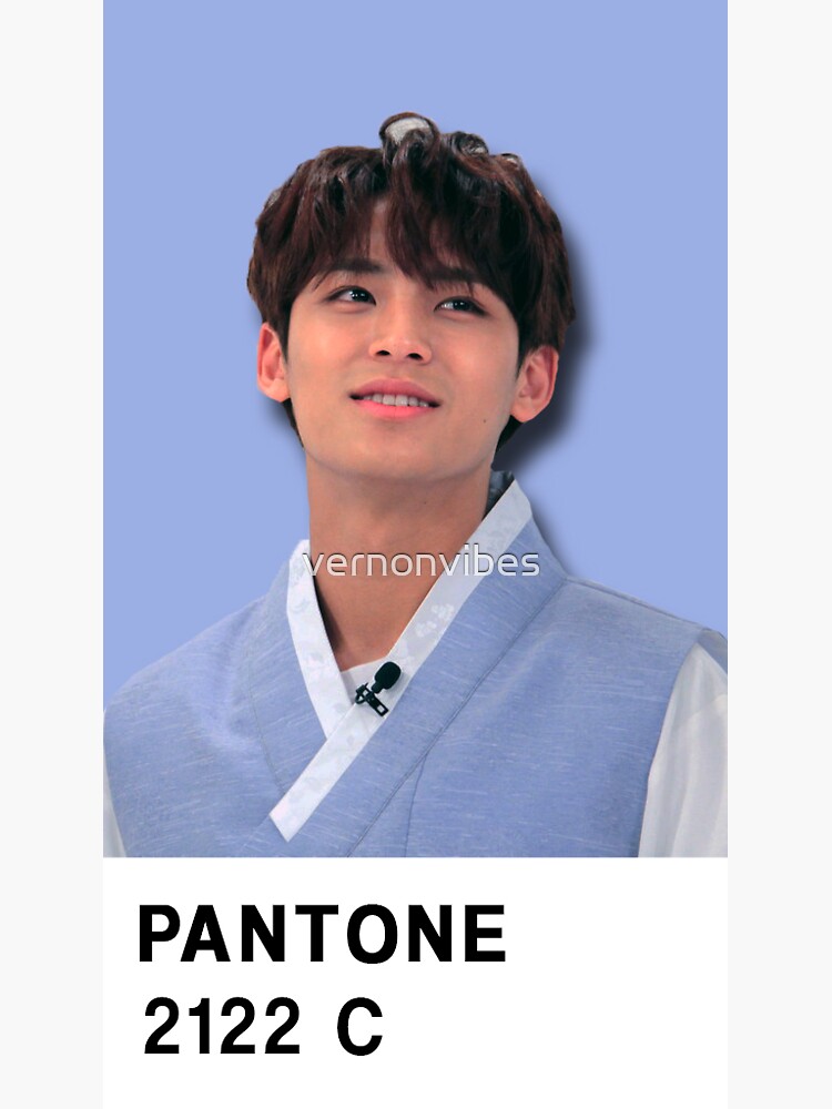 "SEVENTEEN PANTONE Mingyu" Sticker for Sale by vernonvibes | Redbubble