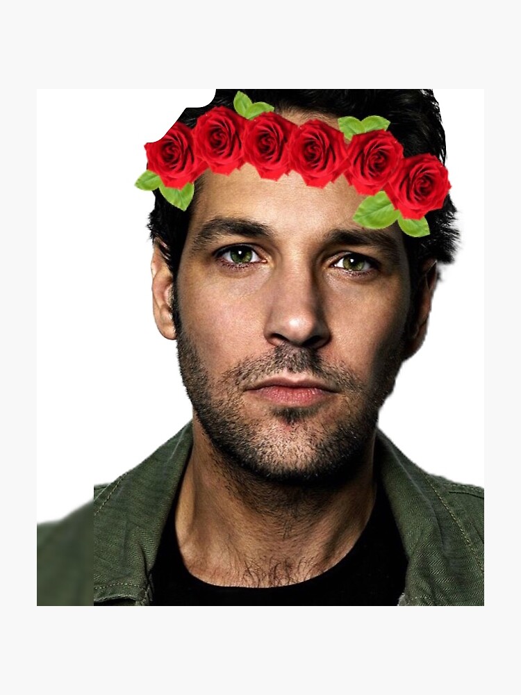 "Paul Rudd Flower Crown" Sticker by amandalynn692 | Redbubble