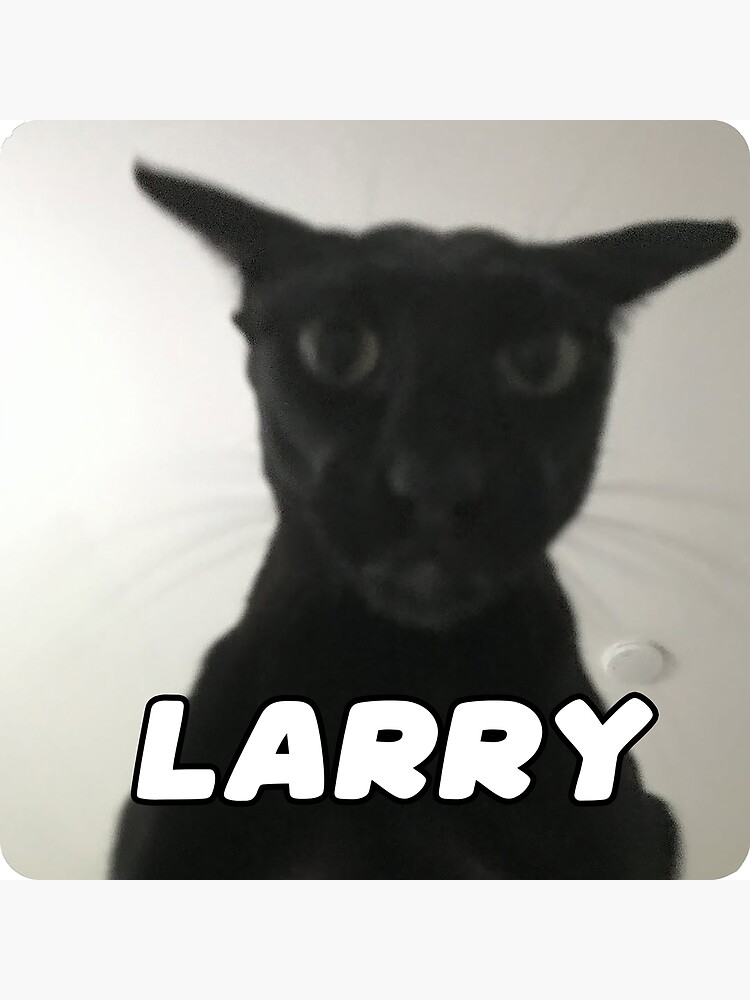 "Evil Larry Cat" Poster for Sale by SkrenClothing | Redbubble