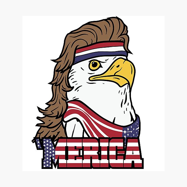 "4th of July American Bald Mullet Eagle 'Merica" Photographic Print by ...