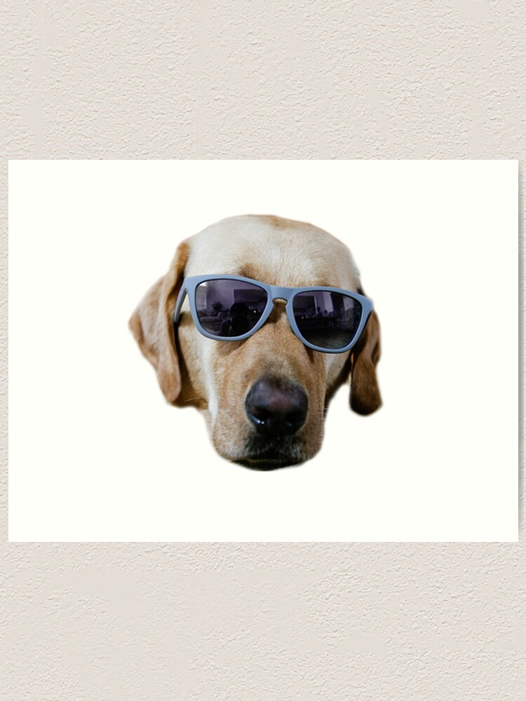 "Cool Doggo #6" Art Print for Sale by Elisecv | Redbubble