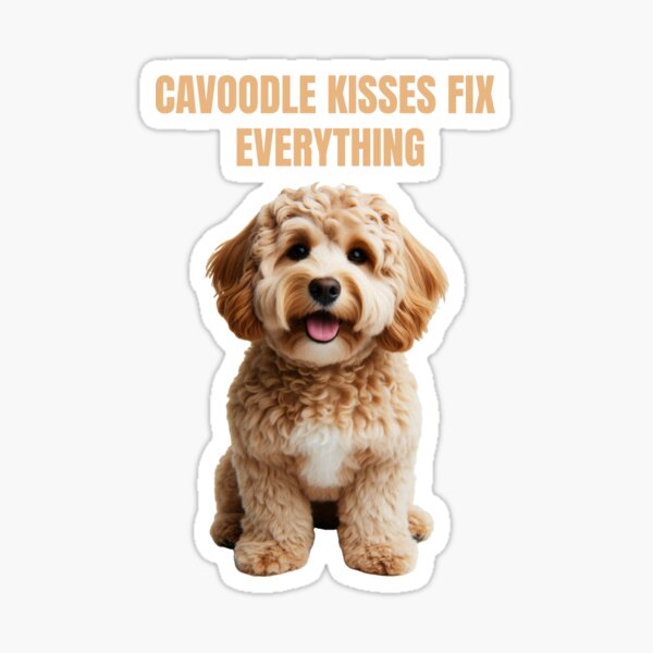 Cavapoo Merch & Gifts for Sale | Redbubble