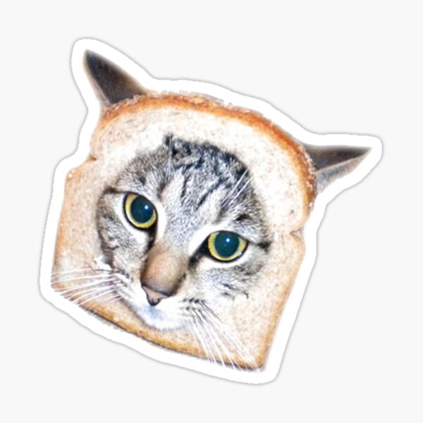 "Bread Cat #3" Sticker by Elisecv | Redbubble