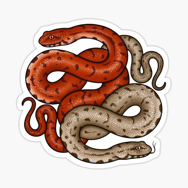 "Australian Bockadam (Cerberus australis)" Sticker for Sale by miss ...