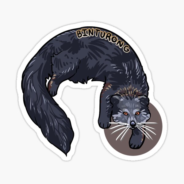 Binturong Merch & Gifts for Sale | Redbubble