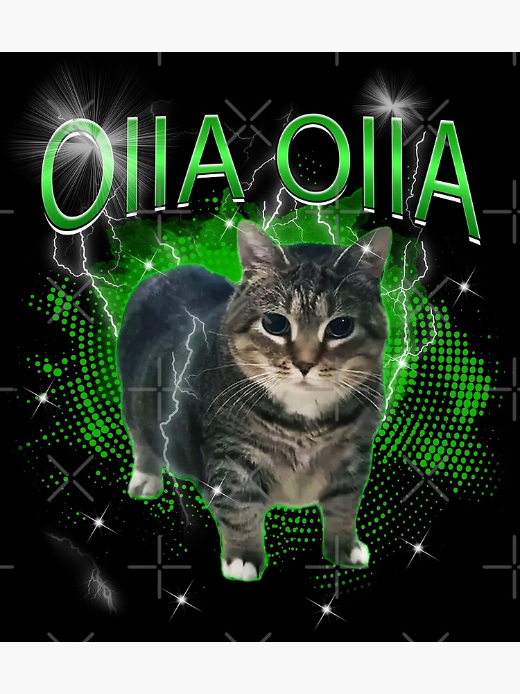 "Copy of Spinning Cat OIIA OIIA Electric Funny Meme Cat Meme Inspired ...