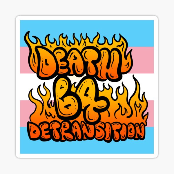 "death before detransition" Sticker for Sale by heyitsleonard | Redbubble
