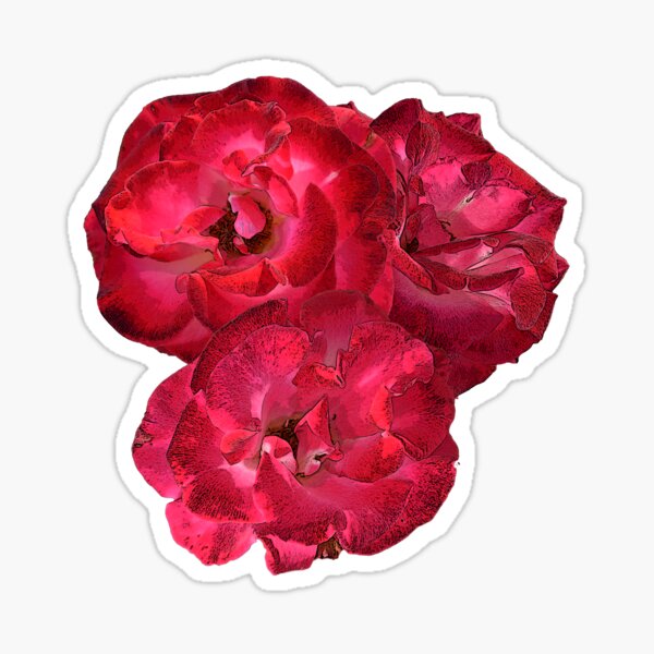 "Pink Flowers" Sticker for Sale by bpcreate | Redbubble
