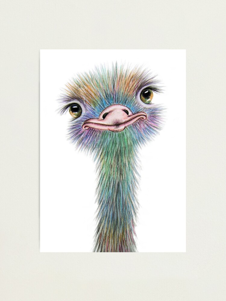 "Colourful Emu" Photographic Print for Sale by Dandarey | Redbubble