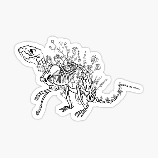 "Rat Skeleton" Sticker by LagoonLewis | Redbubble