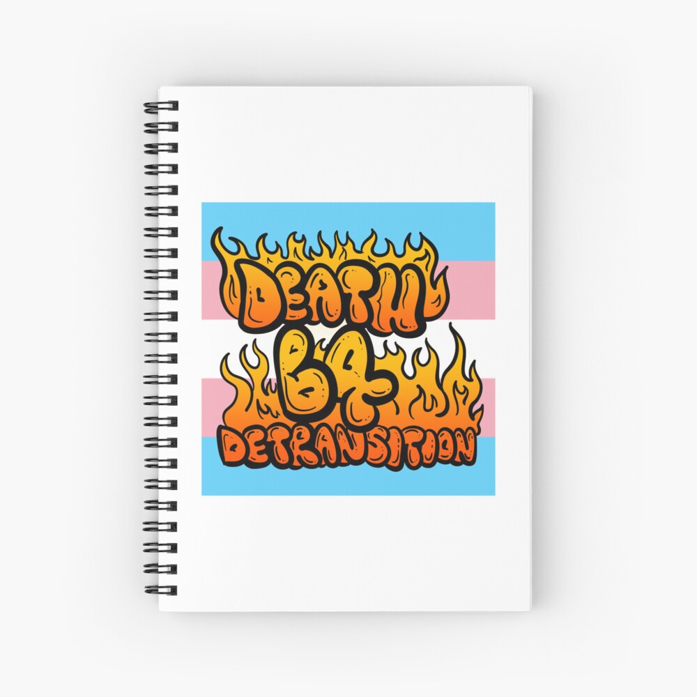 "death before detransition" Sticker for Sale by heyitsleonard | Redbubble
