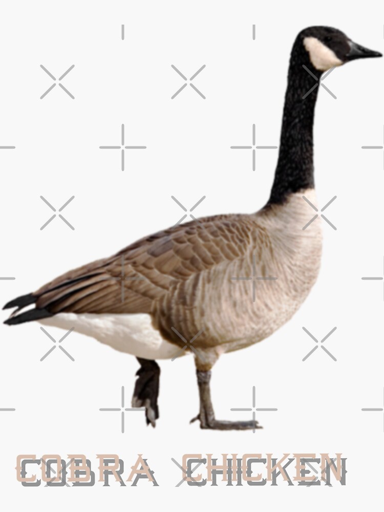 "Cobra Chicken Canada Goose" Sticker for Sale by House-of-Roc | Redbubble