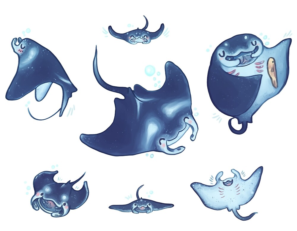 "manta rays" by Alice RL | Redbubble