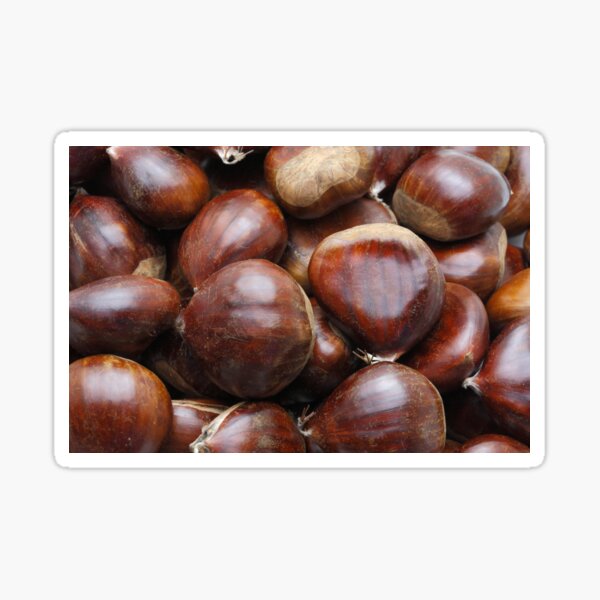 "Sweet chestnuts" Sticker for Sale by gavila | Redbubble