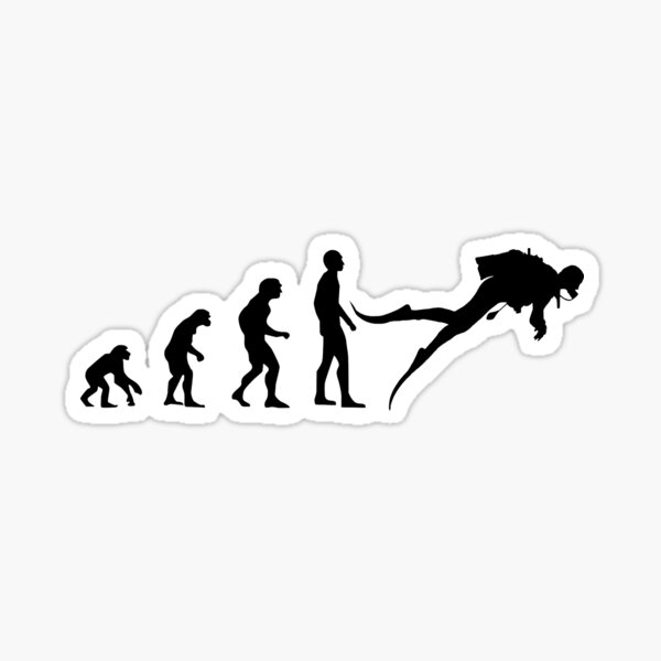 "Evolution divers" Sticker for Sale by kailukask | Redbubble