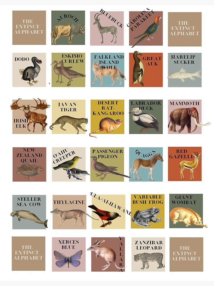 "The Extinct Alphabet" Poster for Sale by lizmoore100 | Redbubble