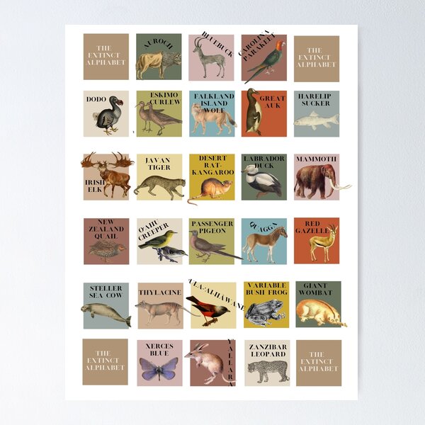 "The Extinct Alphabet" Poster for Sale by lizmoore100 | Redbubble