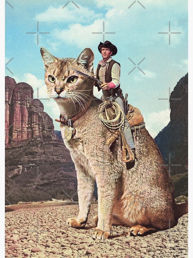 "Cat Lone Ranger" Sticker for Sale by Vertigo Artography | Redbubble