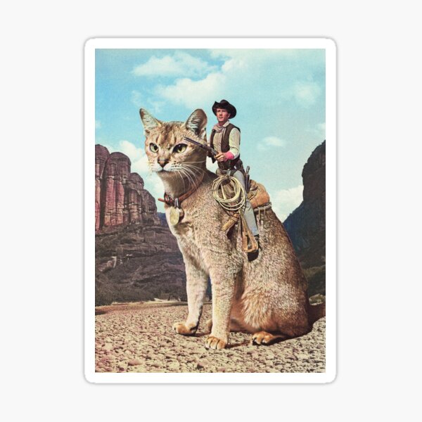 "Cat Lone Ranger" Sticker for Sale by Vertigo Artography | Redbubble