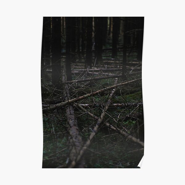 "Fallen Pines" Poster for Sale by MsDunwich | Redbubble