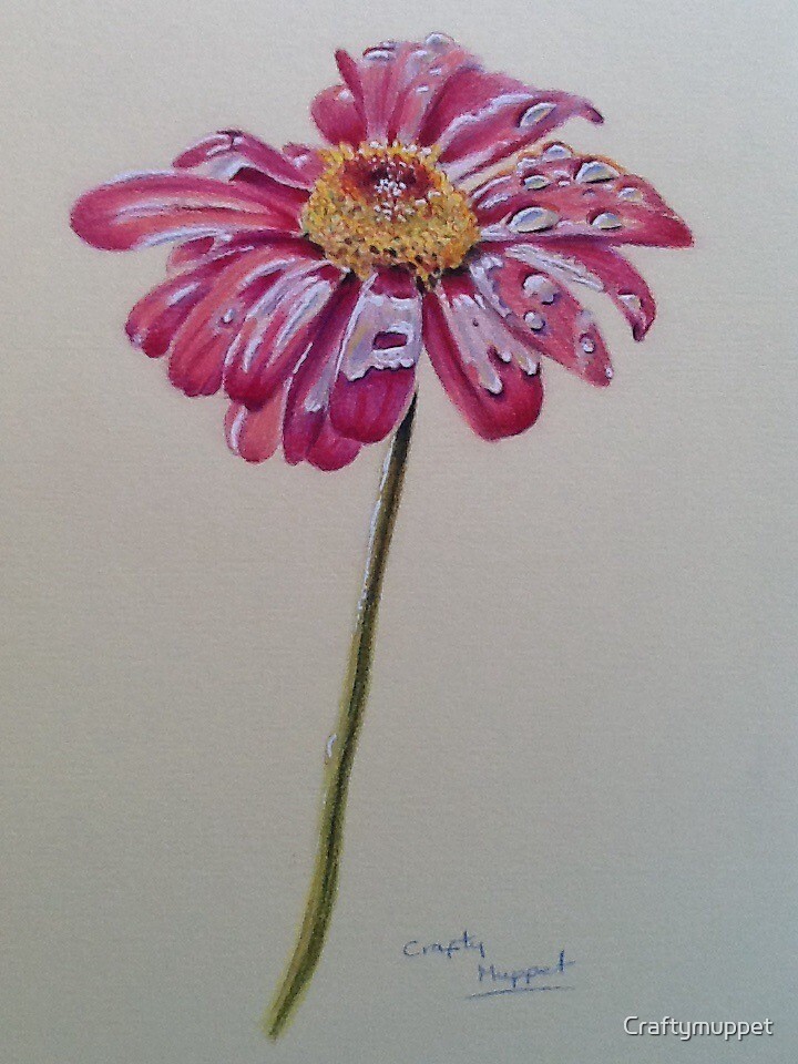 "Flower raindrops" by Craftymuppet | Redbubble