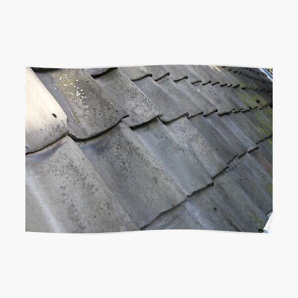 Shingles Posters | Redbubble