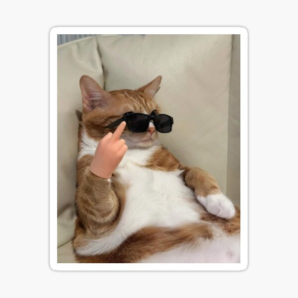 Sassy Cat Meme