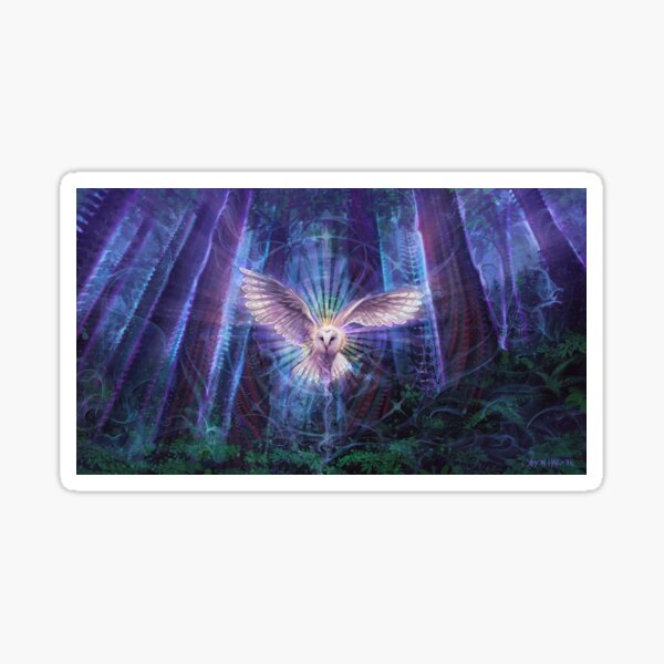 "Night Owl" Sticker by SimonHaiduk | Redbubble