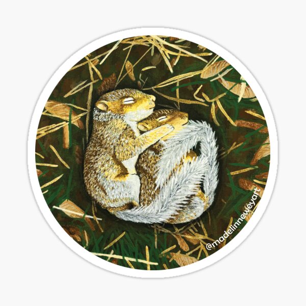 "Squirrels Cuddling Sticker" Sticker for Sale by MadelinNeweyArt ...