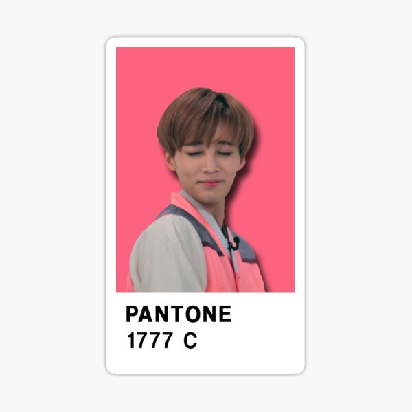 "SEVENTEEN PANTONE Jeonghan" Sticker by vernonvibes | Redbubble