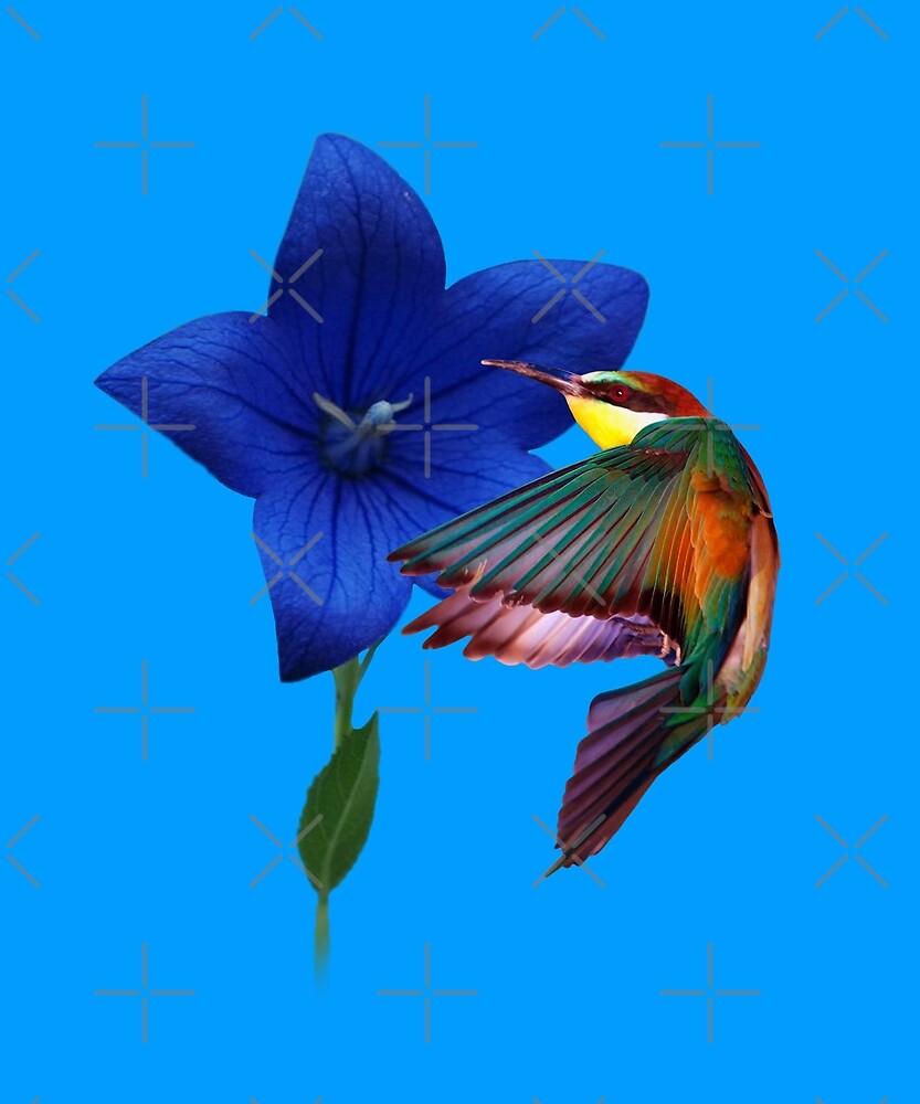 "Colorful hummingbird wit blue flower." by MortalDesigns | Redbubble