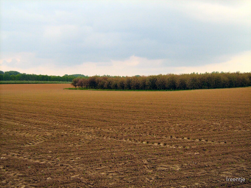 Empty Field