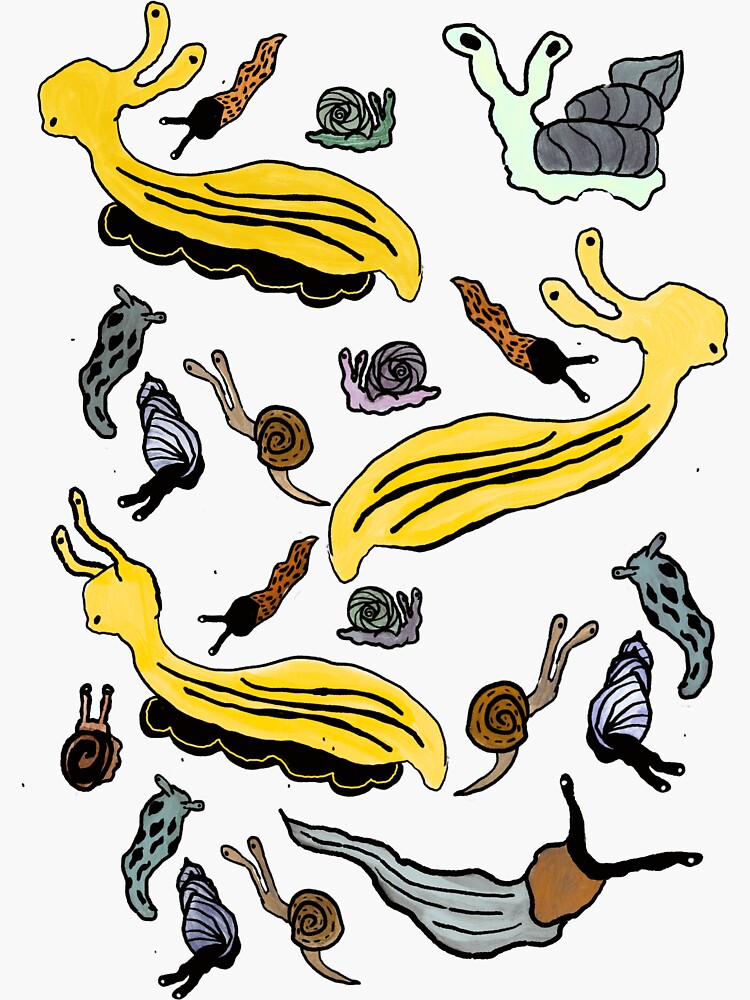 "Snails and Slugs in color" Sticker for Sale by Schizofriendlia | Redbubble