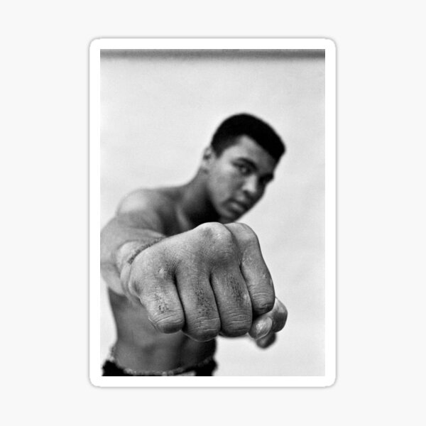 "ALI" Sticker for Sale by 313fire | Redbubble