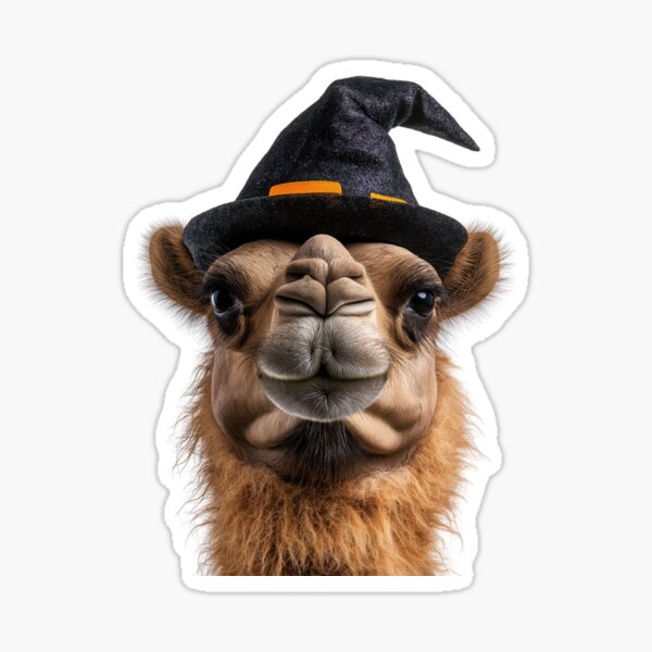 LazyOwlStore Shop | Redbubble