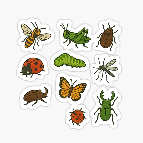 "Drawn Insect Sticker Pack" Sticker for Sale by StickieBuddies | Redbubble
