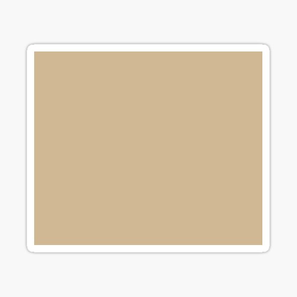 "Almond Buff | Color Trends | New York and London | Fall Winter 2018 ...