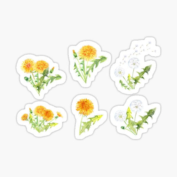 "Dandelions Set 6 pieces" Sticker for Sale by EmeraldeaArt | Redbubble