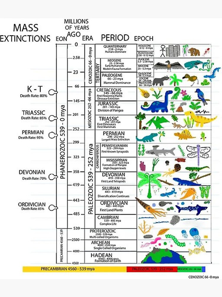 "Geologic Time Scale" Sticker for Sale by LConder | Redbubble
