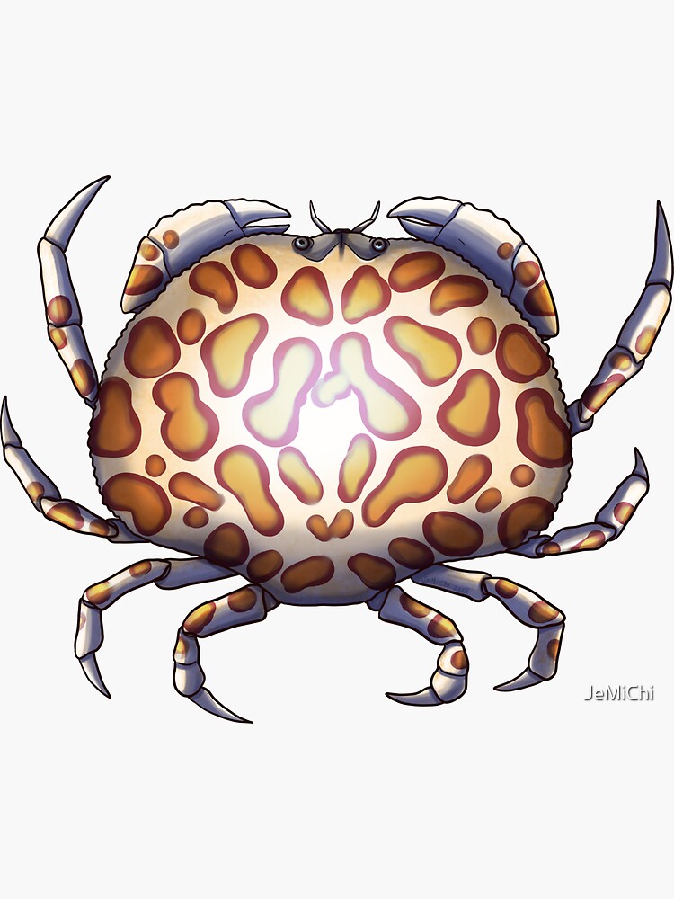 "Calico Crab" Sticker for Sale by JeMiChi | Redbubble
