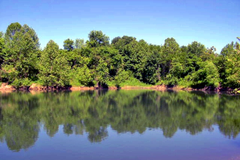 "*JERRY'S LAKE*" by Van Coleman | Redbubble
