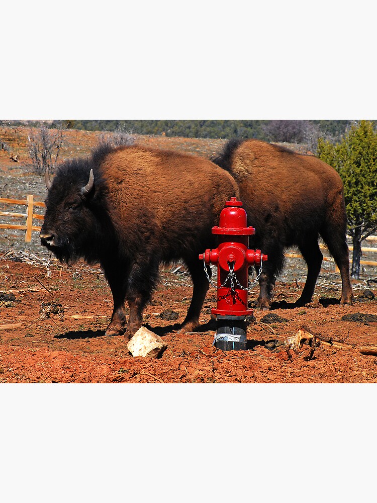 as Bob Dylan said Premium Matte Vertical Poster sold by Musya Qeburia ...