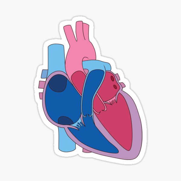 AshlynKelleyArt Shop | Redbubble