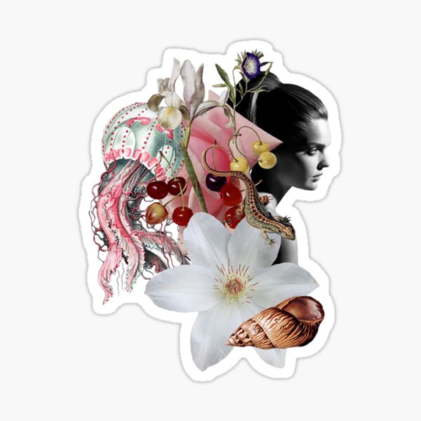 "July" Sticker for Sale by RosaFelix | Redbubble